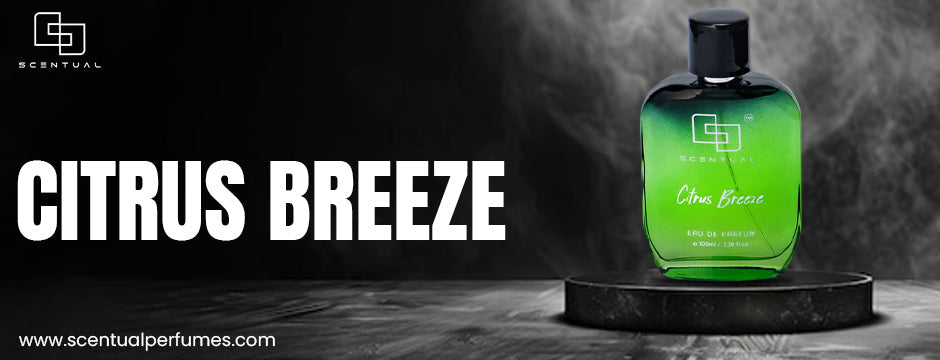 Energising Citrus Breeze Is Your Ultimate Uplifting Note – scentualperfumes